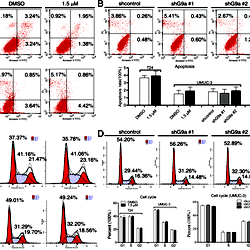 Cell proliferation attenuation by G9a inhibition is not via triggering ...