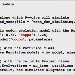 Example code for a simple codon simulation in Pyvolve.