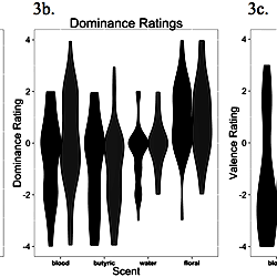 Probability density graph of SAM ratings.
