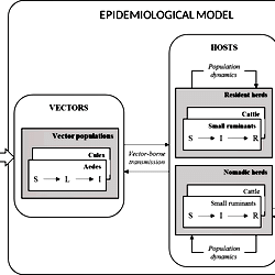 Schematic representation of the epidemiological model.