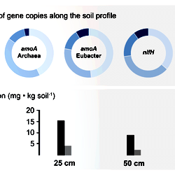 S1 Graphical abstract