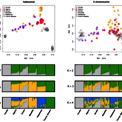 Plots for the analysis of genome-wide SNPs.