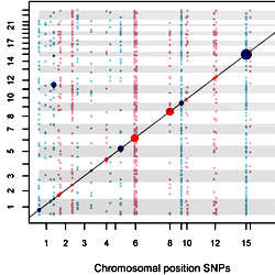 eQTL map of mQTL loci.
