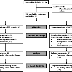Flow chart of the study design.