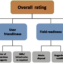 Schematic presentation of rating matrix employed.