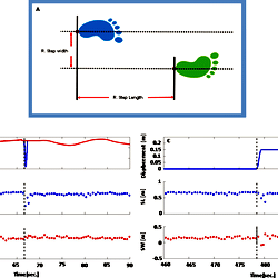 Step width and step length calculation and sample data.