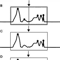 Generic illustration of an IMU signal and the steps performed by both ...