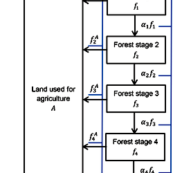 A graphical representation of the forest-landscape model used in this ...
