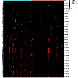 Functional score heat map for each sample.