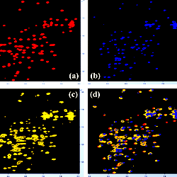 Competitive binding experiment.