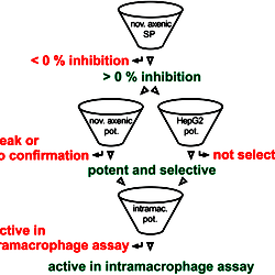 Screening cascade.