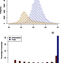 Two-dimensional distribution of expression and GC content ...