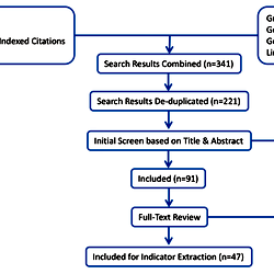 Flowchart describing the filtering of publications through the scoping ...