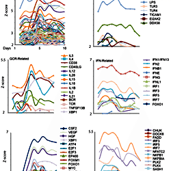 Upstream analysis using all TDEGs in the lymph node compartment.