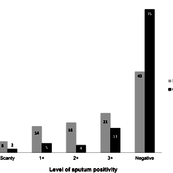 Quantitative grading scale of sputum smear microscopy results in the ...