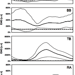 EMG curves for a gait cycle in conventional walking and Nordic Walking.
