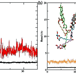 Root-Mean-Square Deviation (RMSD) in Molecular Dynamics (MD) simulations.