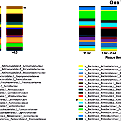 Bacterial taxon summary at Family level for dental plaque samples by ...