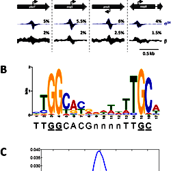 ChIP-seq identifies σ54 binding sites on a genomic scale.