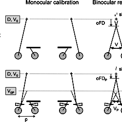 Conditions of measuring fixation disparity.