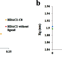 Radius of gyration (Rg) analysis for 12 ns MD simulation.
