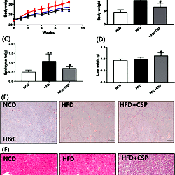 The effects of CSP on body weight, epididymal fat and liver.