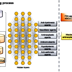 The schematic illustration of study design.