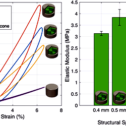 Structural core results.
