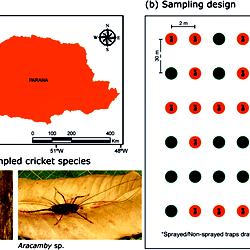 Map of the sampling region (a), sampling experimental design (b) and ...