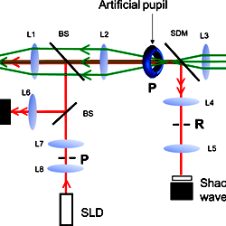 Schematic of the multiscale visual simulator.