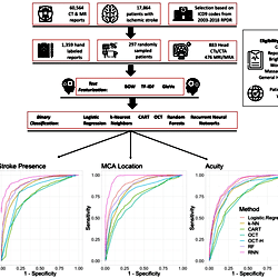 Flow diagram of Natural Language Processing (NLP) methodology.