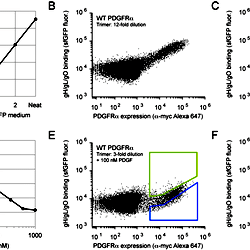A selection strategy for identifying PDGFRα mutants selective for the ...