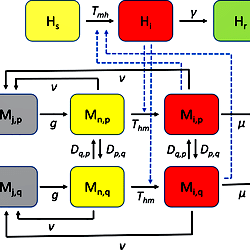 Conceptual diagram of compartmental (SIR) model.