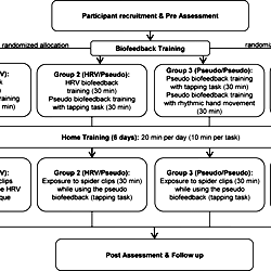 Simplified study flow chart of the randomized controlled trial adapted ...