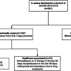 This figure describes the classification system used for SAB and the ...