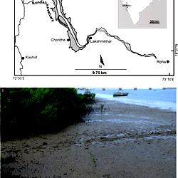 Map of the study area; A. Location of the Kundalika estuary along the ...