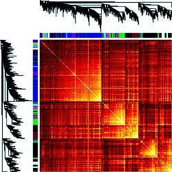 Topological overlap matrix plot.