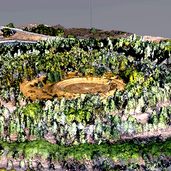 3D mesh model with a resolution of 1.4 faces (triangle texture)/cm2.