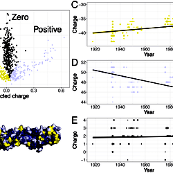 Identification of negative, zero, and positive functional branches.