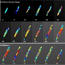 The analysis of MSER.