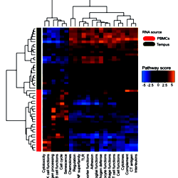 Heatmap of pathway scores.