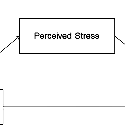 Moderated mediation model being tested using Hayes’ PROCESS model 7.