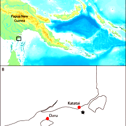 Map of Papua New Guinea and the Daru region.