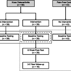 Flowchart illustrating the testing of patients with knee OA and pain ...
