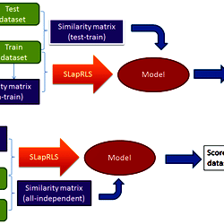 Procedure of this work.