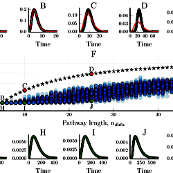 Fitting five-step models to data from linear pathways of different length.