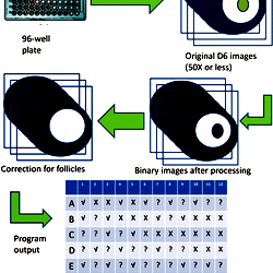 Illustration of the HTP system.