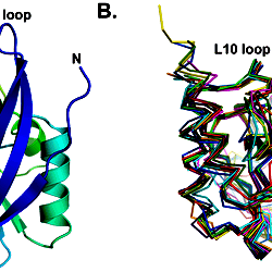 Crystal Structure of DIM-1.