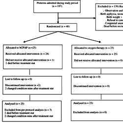 Flow chart showing randomization and treatment allocation of the study ...