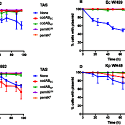 Stability of a low copy number plasmid with and without the specified ...